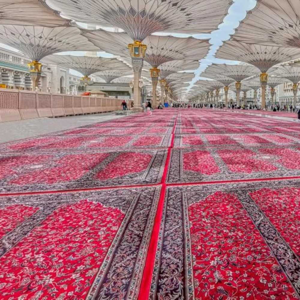 Musallah South Africa - Official Online Store – Musallah.co.za